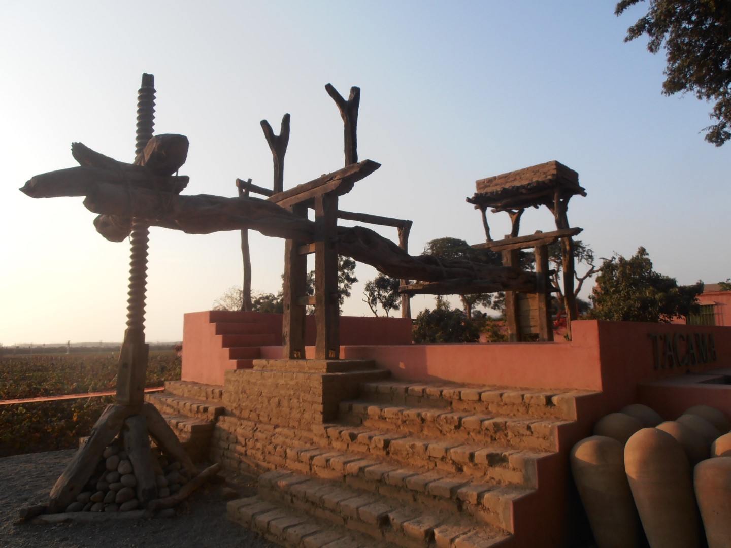 Nuevos Testimonios Sobre el Pisco - Livio Pastorino